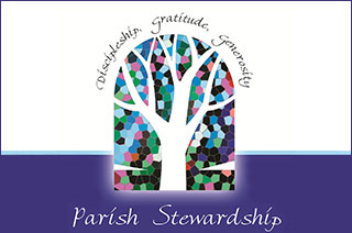 Development and Stewardship